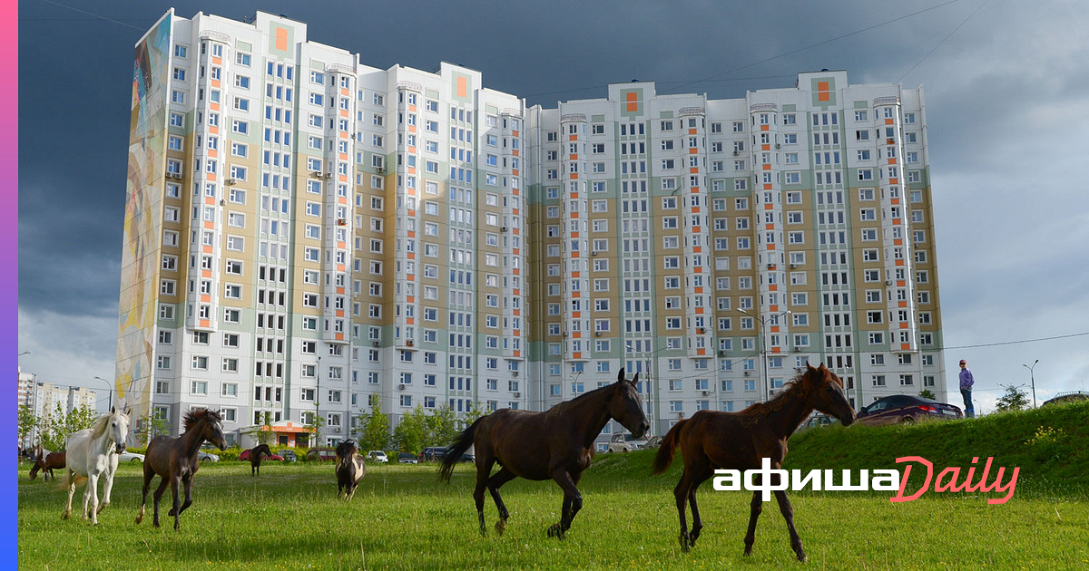 Новая Москва: зачем ее присоединили и что из этого вышло - Афиша Daily