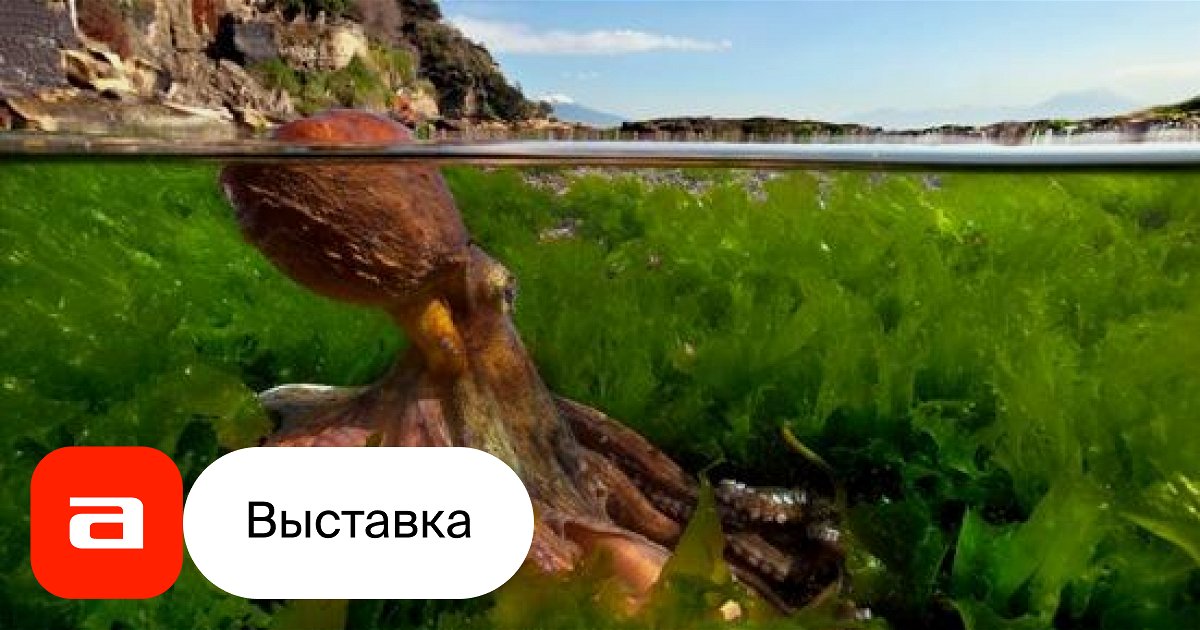 Выставка 100 чудес света – Афиша-Музеи